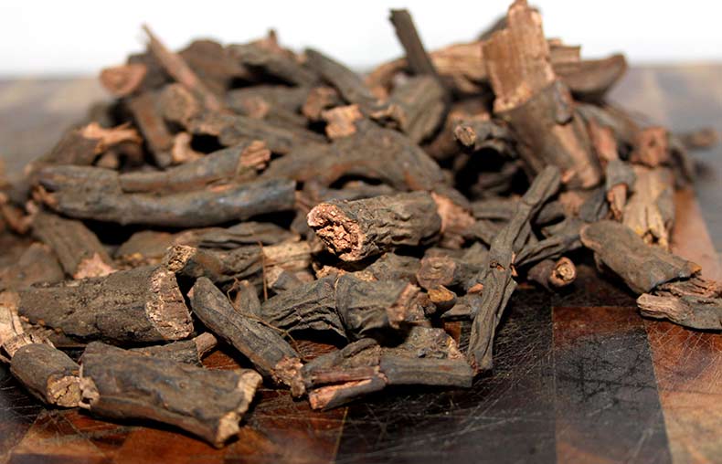 Indian Sarsaparilla has multi-level benefits on human body | Bigumbrella