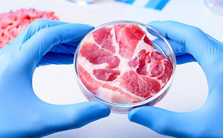 cultivated meat | Bigumbrella