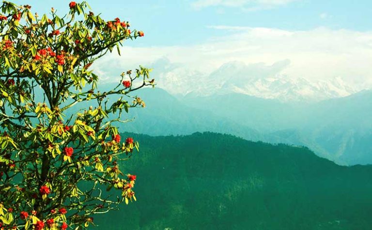 Icche Gaon – a place to enjoy natural beauties and warmth homestays ...
