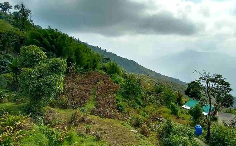 Icche Gaon – a place to enjoy natural beauties and warmth homestays ...